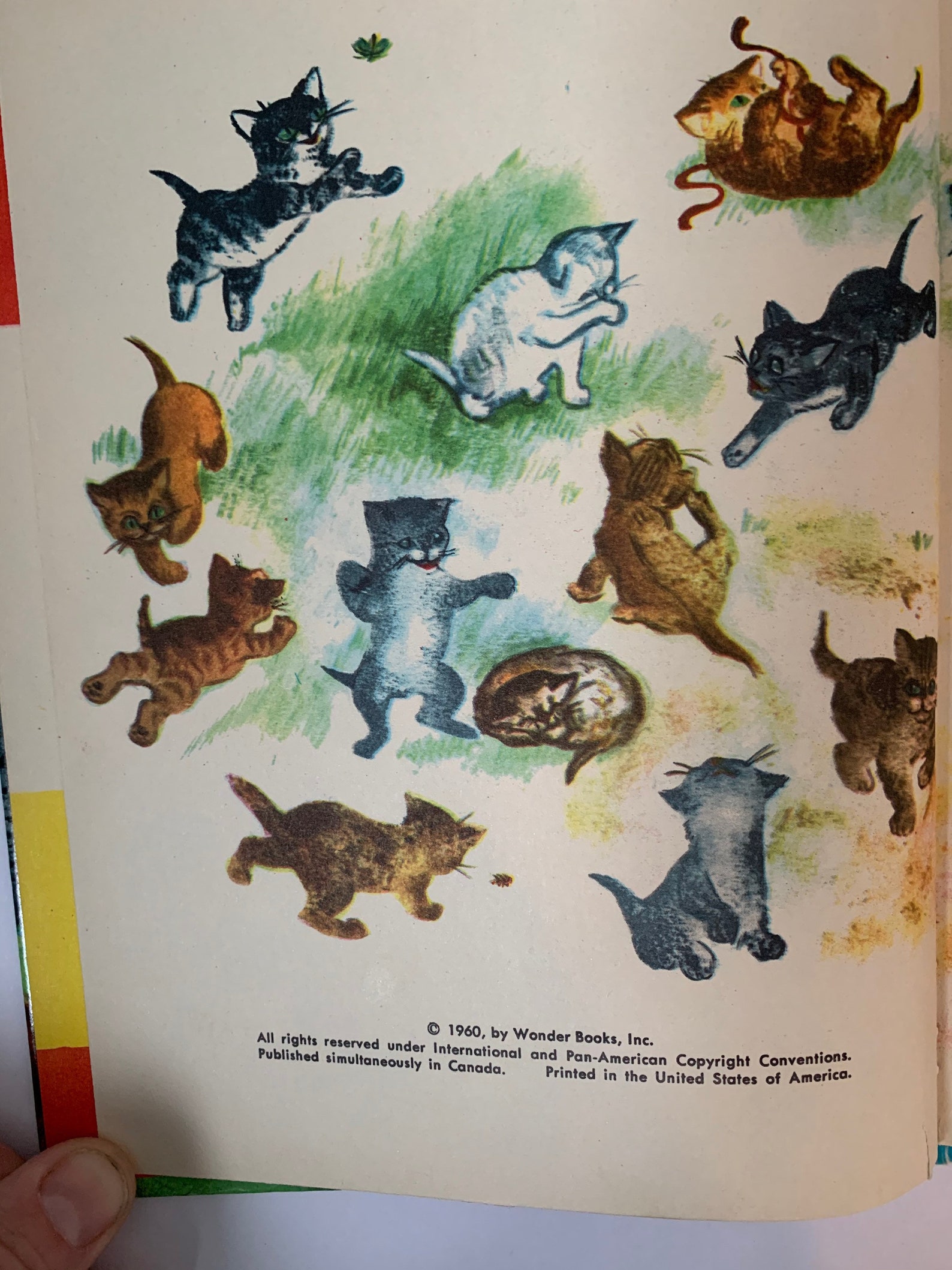 Vintage My First Book of Riddles Wonder Books Treasure Books | Etsy