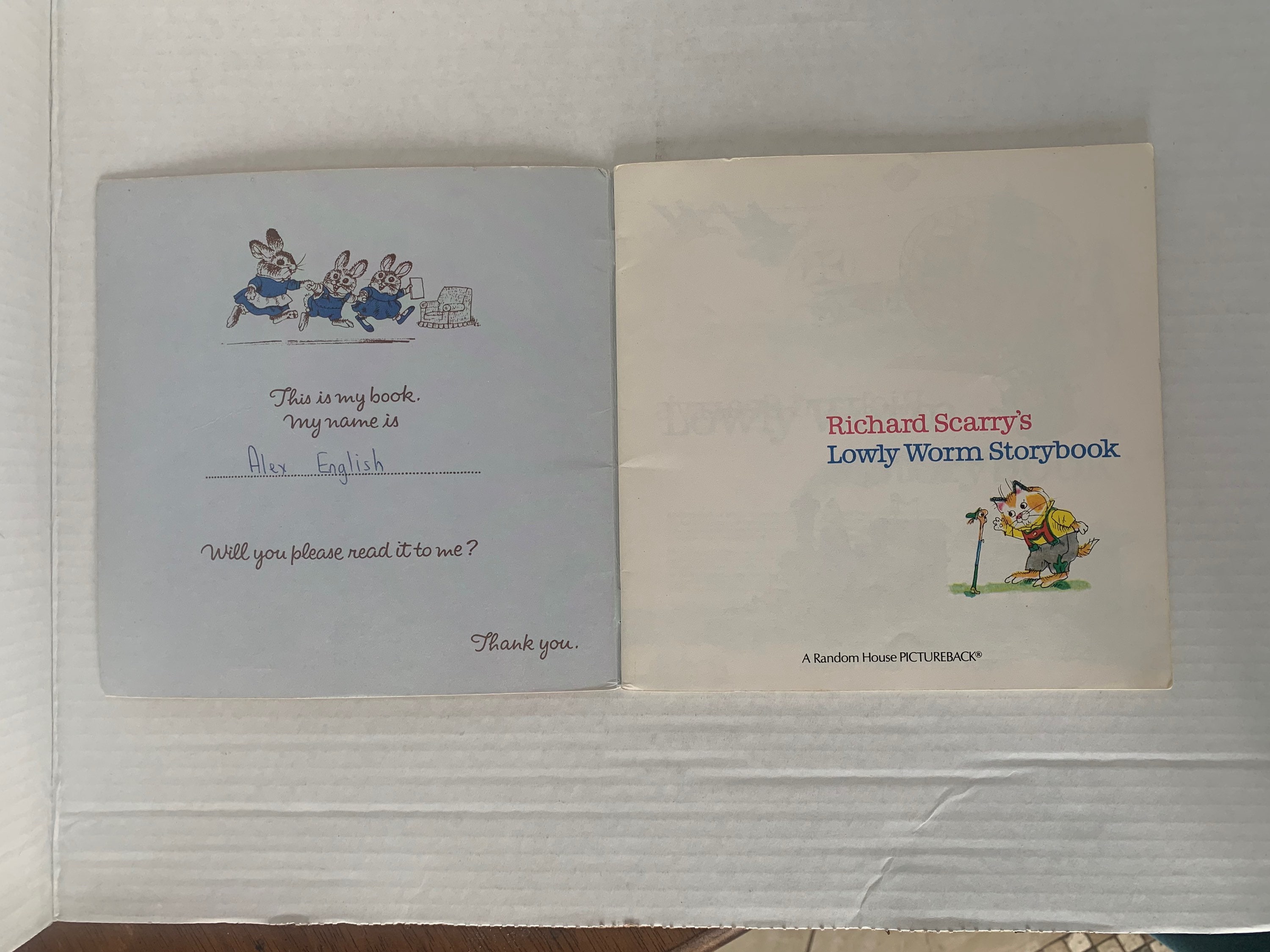 Vintage Richard Scarrys Lowly Worm Storybook 1987 Picture - Etsy
