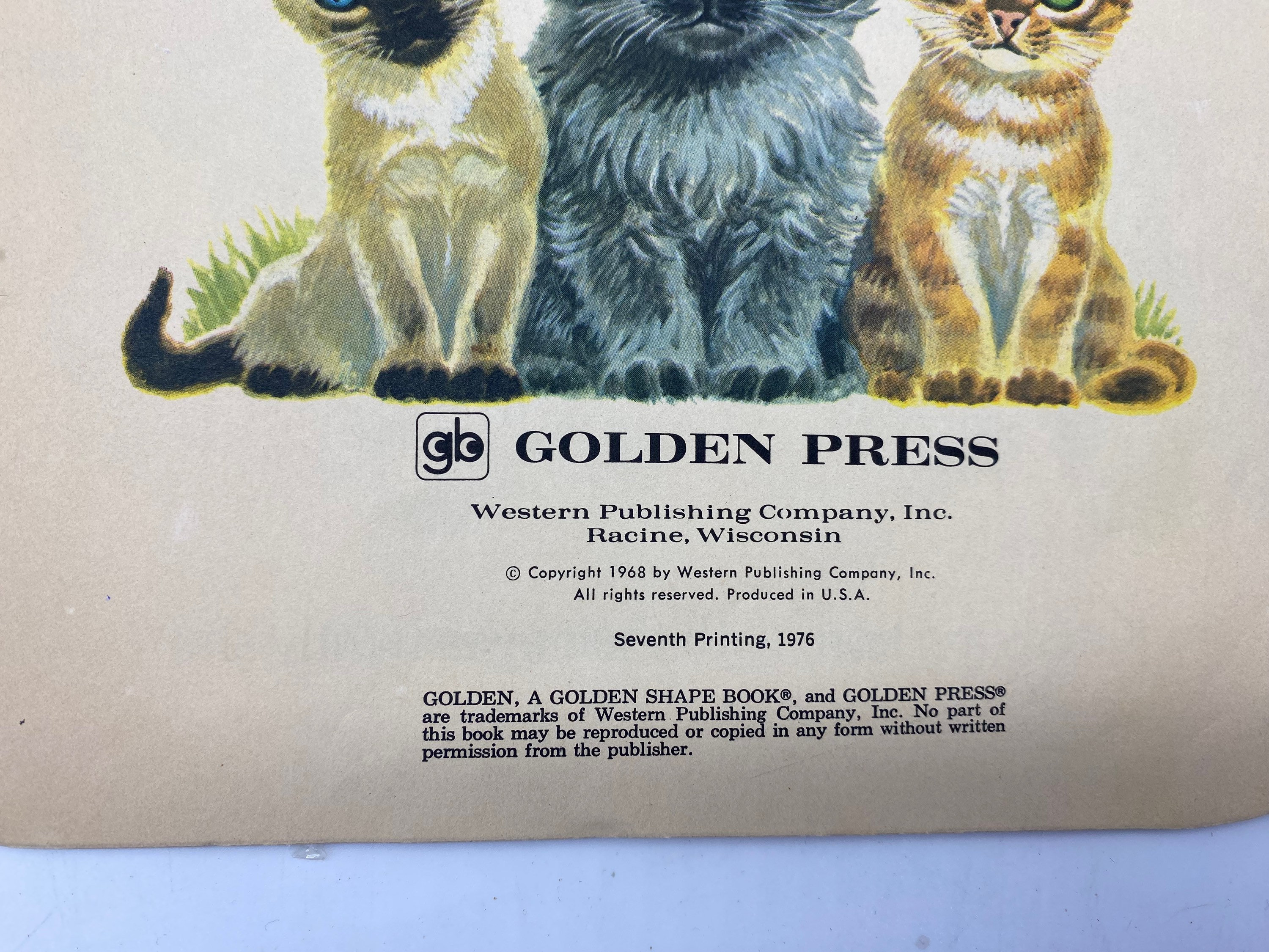 The Kitten Book A Golden Shape Book, Vintage the Kitten Book, 1976 the ...