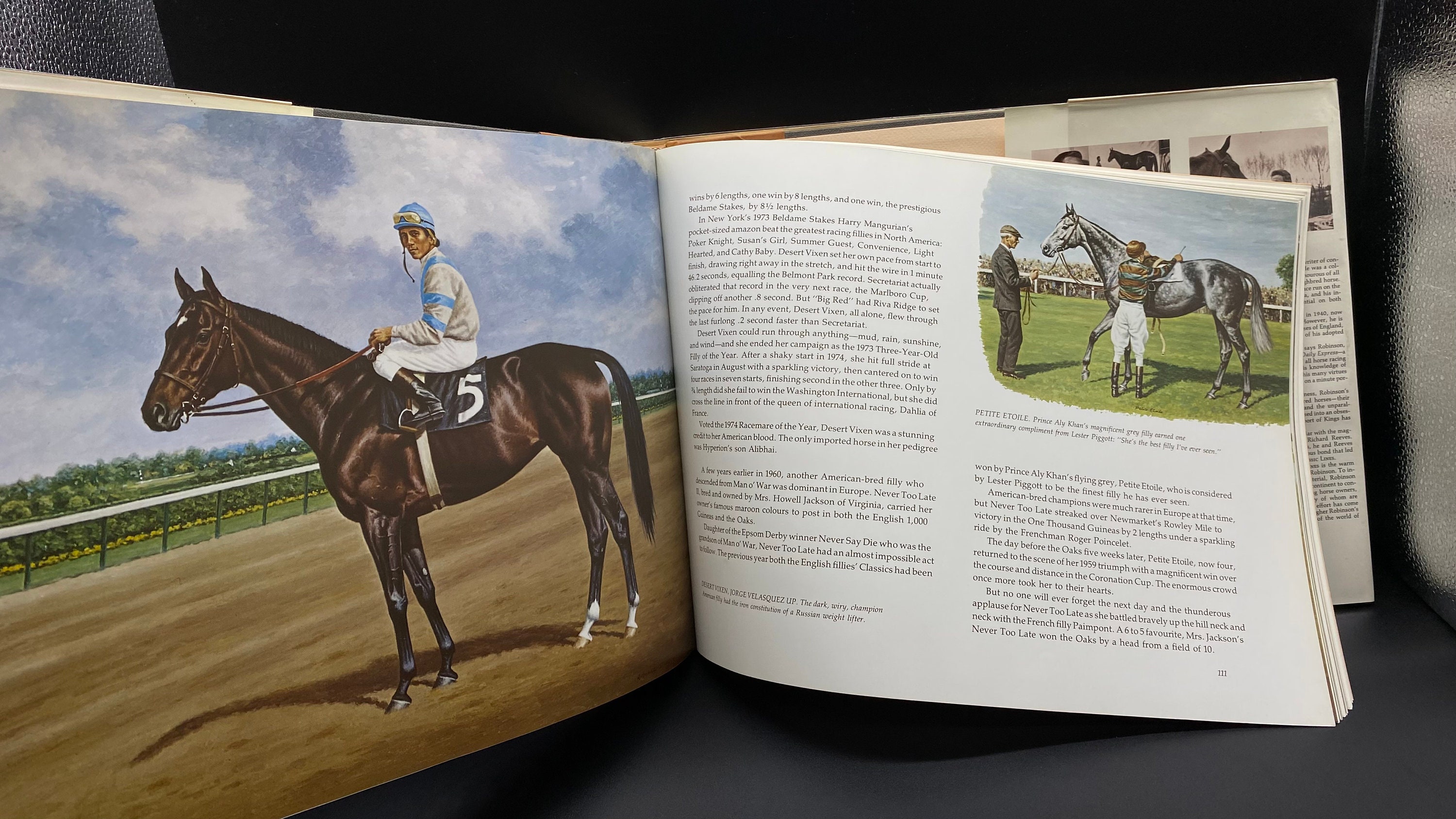 Vintage Classic Lines A Gallery of the Great Thoroughbreds by Richard ...