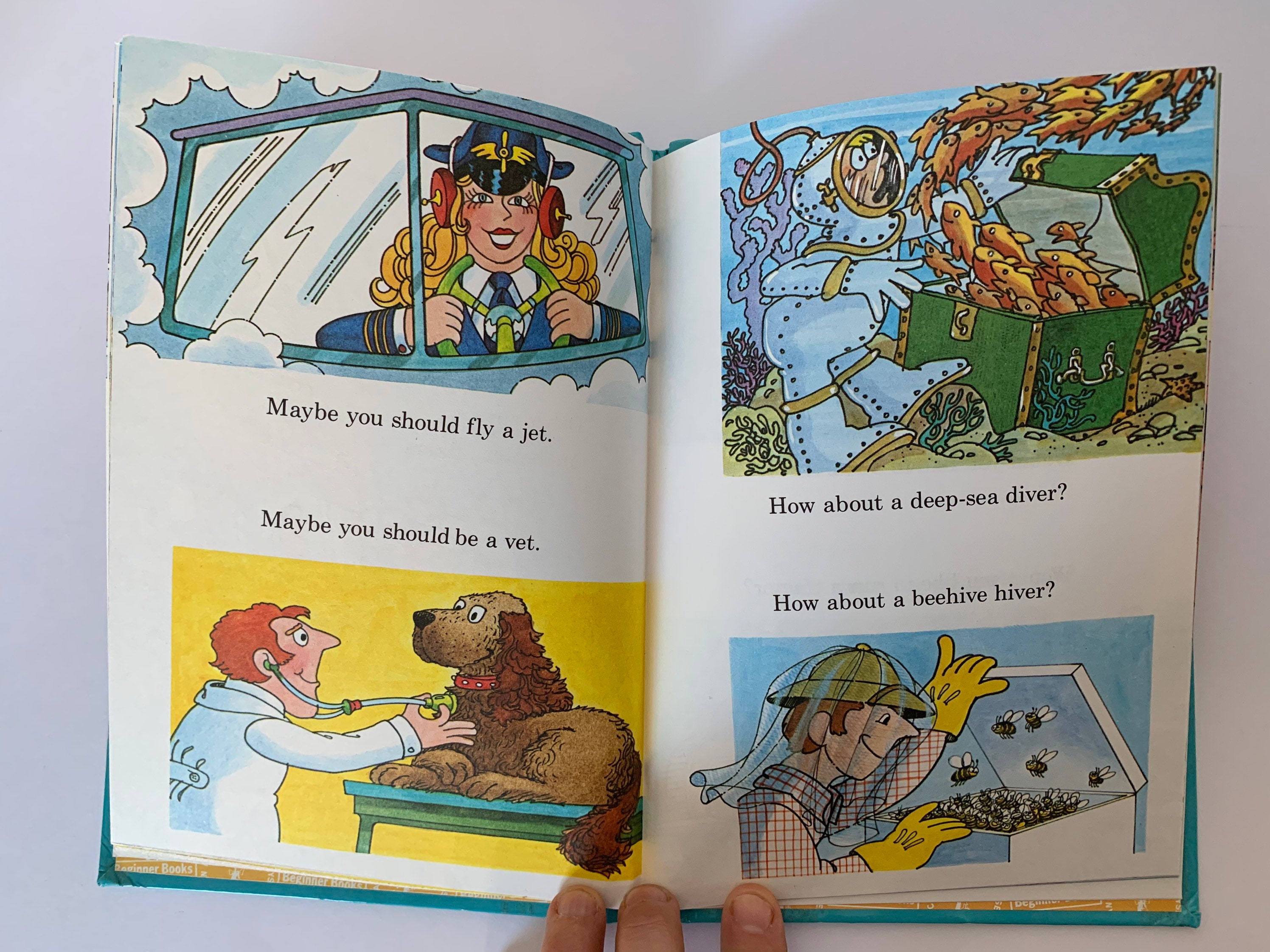 Maybe You Should Fly a Jet Maybe You Should Be a Vet by Theo Lesieg, Dr ...