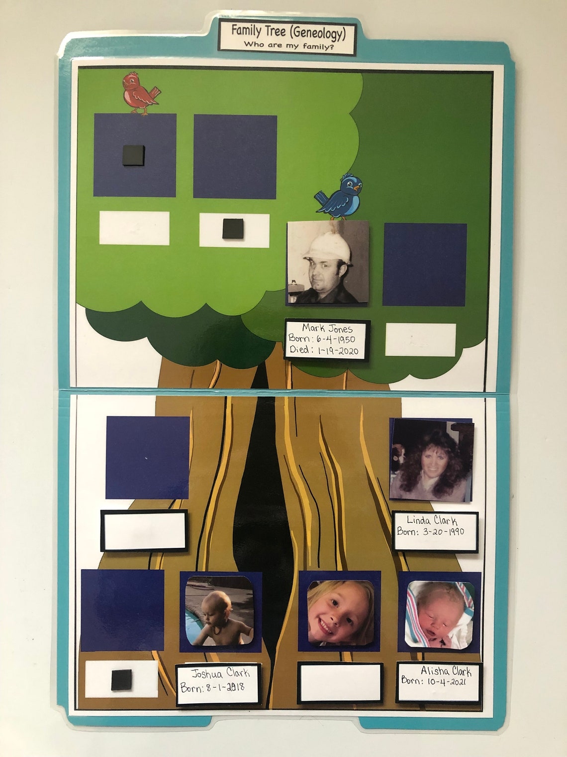 Family Tree File Folder - Etsy