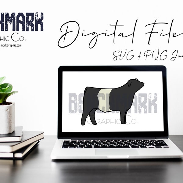 Belted Galloway - Etsy