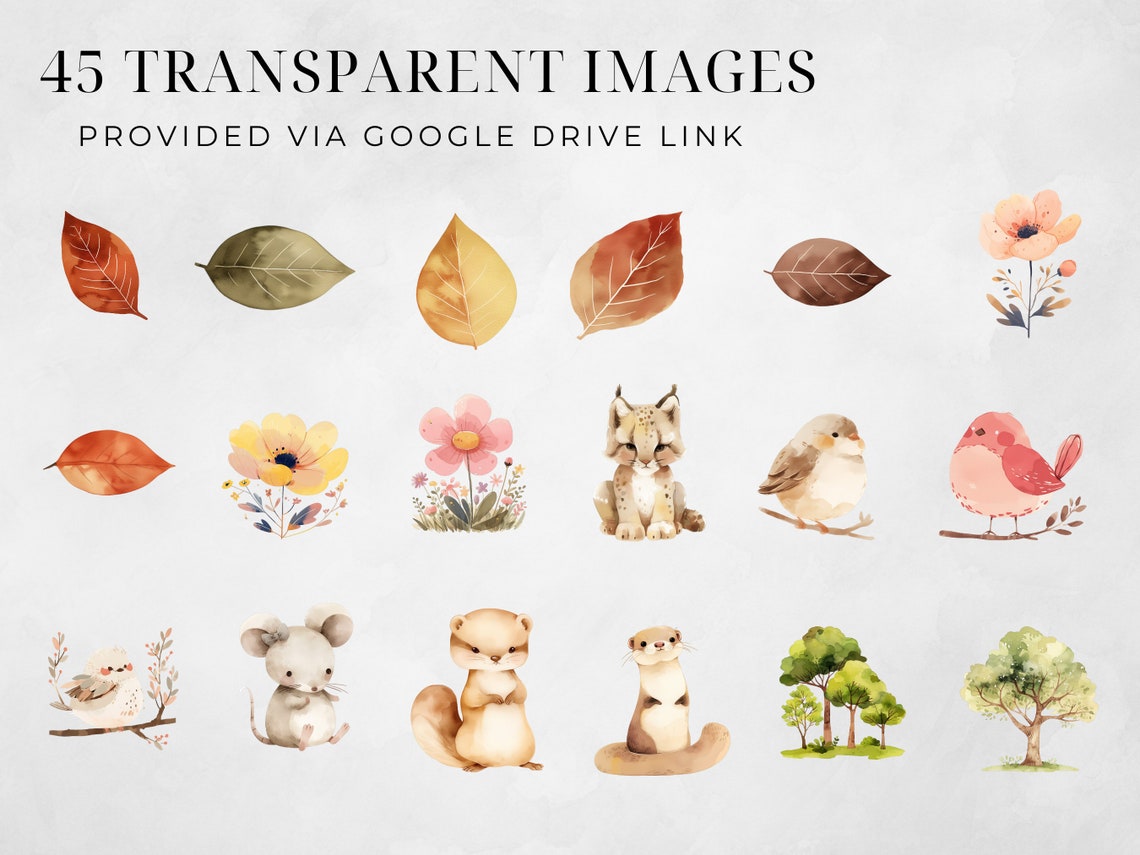 Boho Animals Clipart Watercolor, Woodland Friends, Card Making, Spring ...