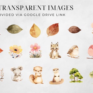 Boho Animals Clipart Watercolor, Woodland Friends, Card Making, Spring ...