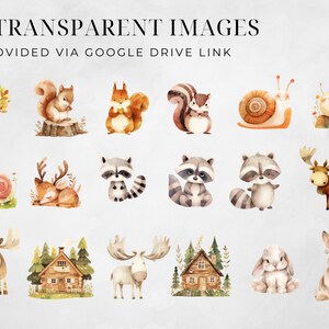 Boho Animals Clipart Watercolor, Woodland Friends, Card Making, Spring ...