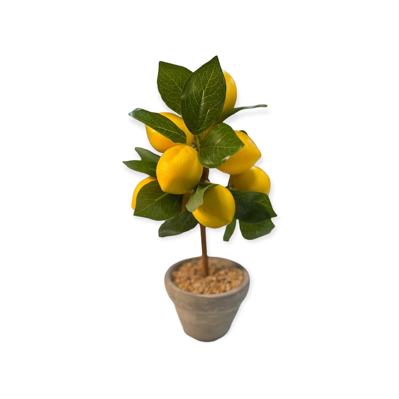 Lemon Kitchen Gift Basket: Housewarming Fresh Squeeze Decor Bundle - Etsy
