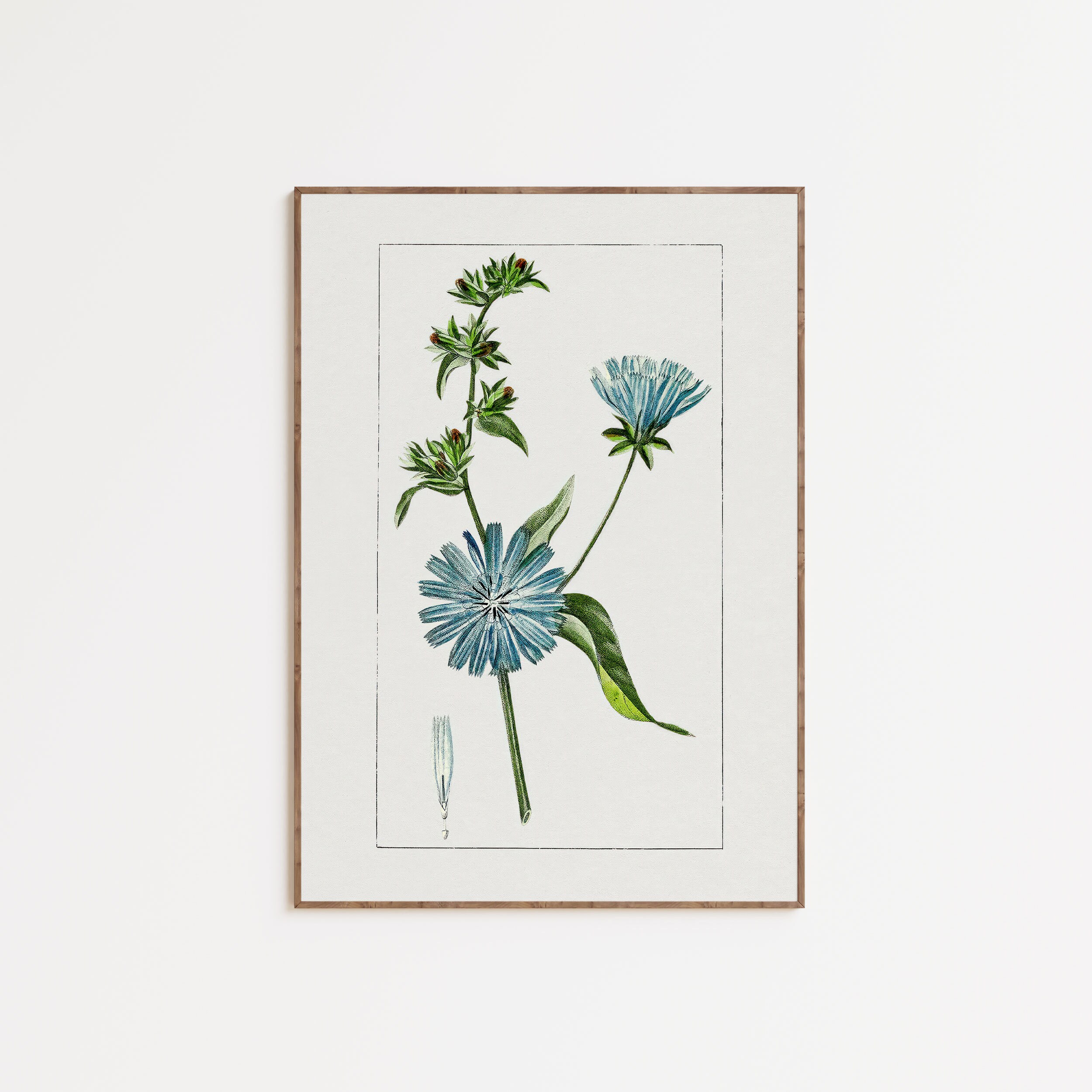 Pastel Gallery Set of 6, Vintage Gallery Prints, Botanical Prints ...