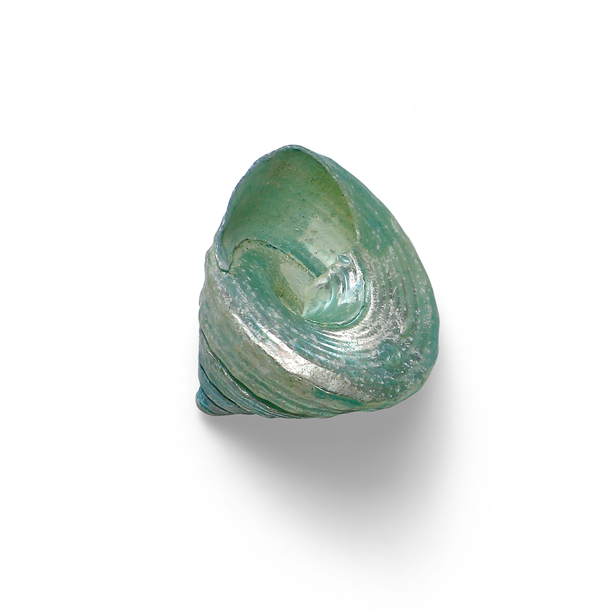 300 Seashell Photoshop Overlays, Seashell Overlay, Shell, Beach, Water ...