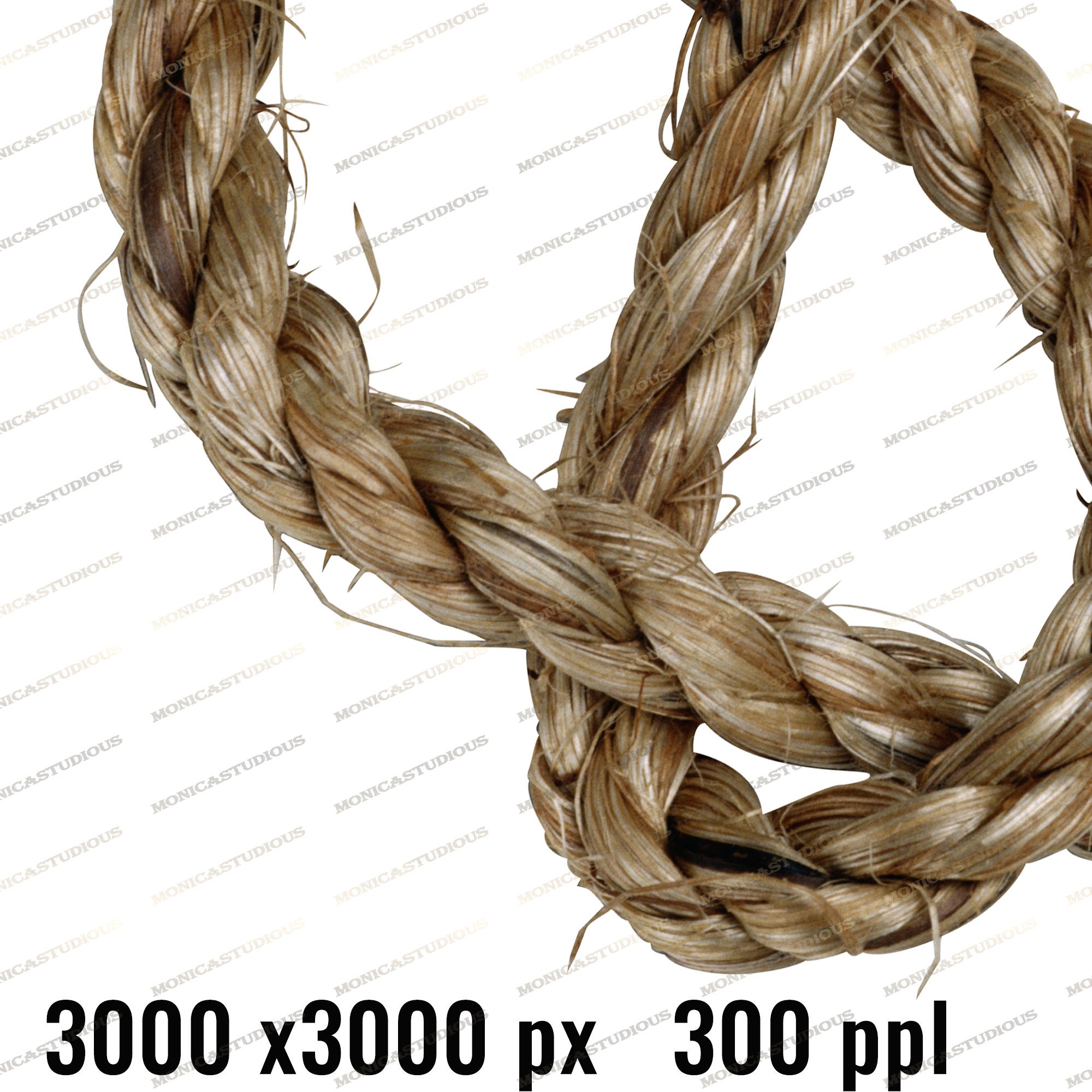 Hemp Rope Knots PNG Clipart: Nautical Rope Overlays (digital Download ...