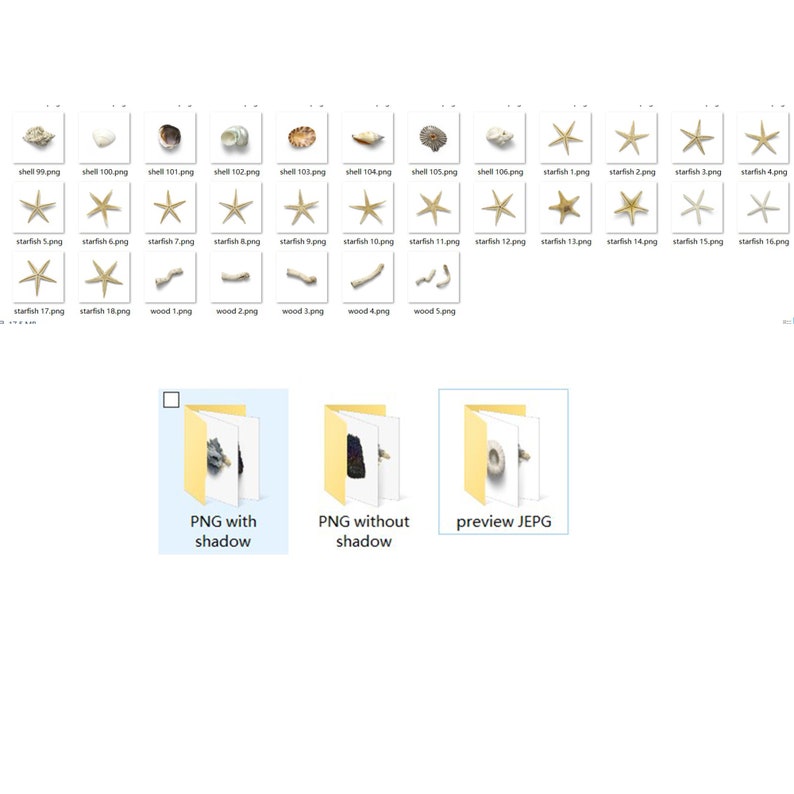 300 Seashell Photoshop Overlays, Seashell Overlay, Shell, Beach, Water ...