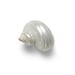 300 Seashell Photoshop Overlays, Seashell Overlay, Shell, Beach, Water ...