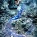 Gradient Glitter Abstract Mermaid Tail Png Design Overlay Bundle 16 ...