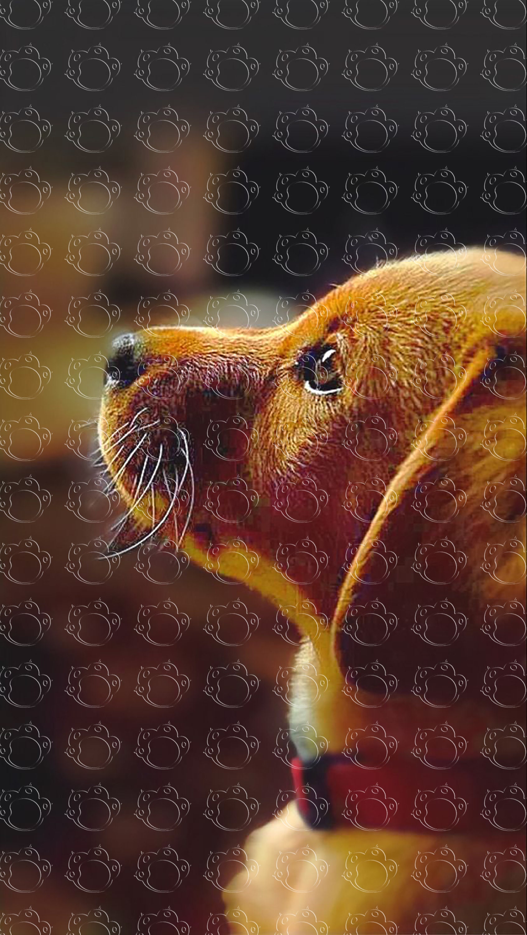 28 Relief Watermark PNG Bundle,transparent,watermark Overlay,photo ...