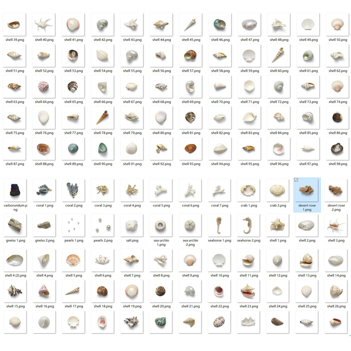 300 Seashell Photoshop Overlays, Seashell Overlay, Shell, Beach, Water ...