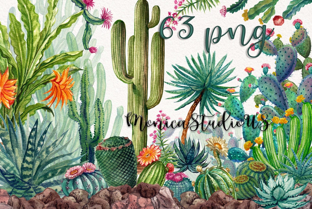 Watercolor Cactus Borders Clipart, PNG, Photo Overlay, Card Making ...