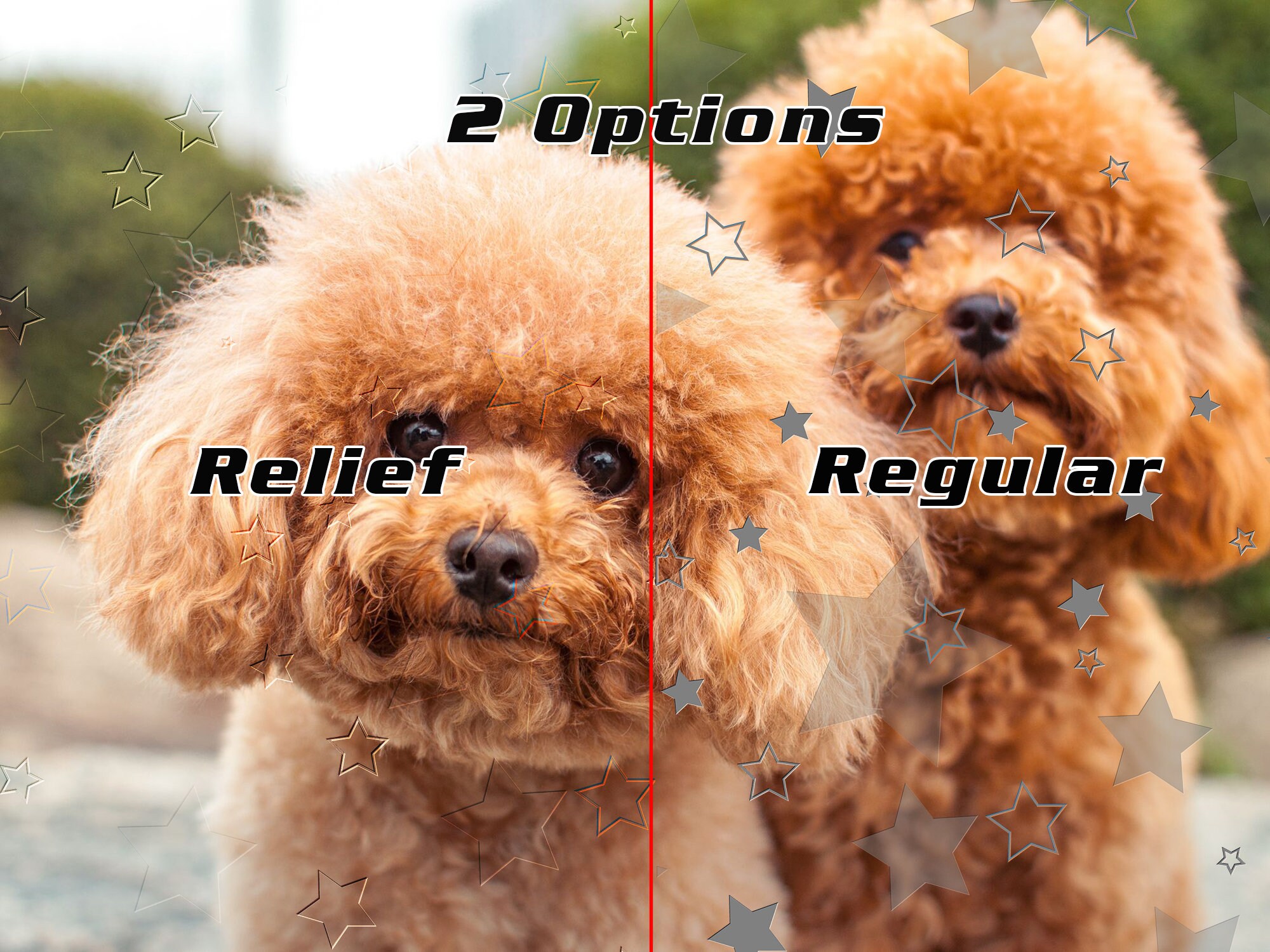 28 Relief Watermark PNG Bundle,transparent,watermark Overlay,photo ...