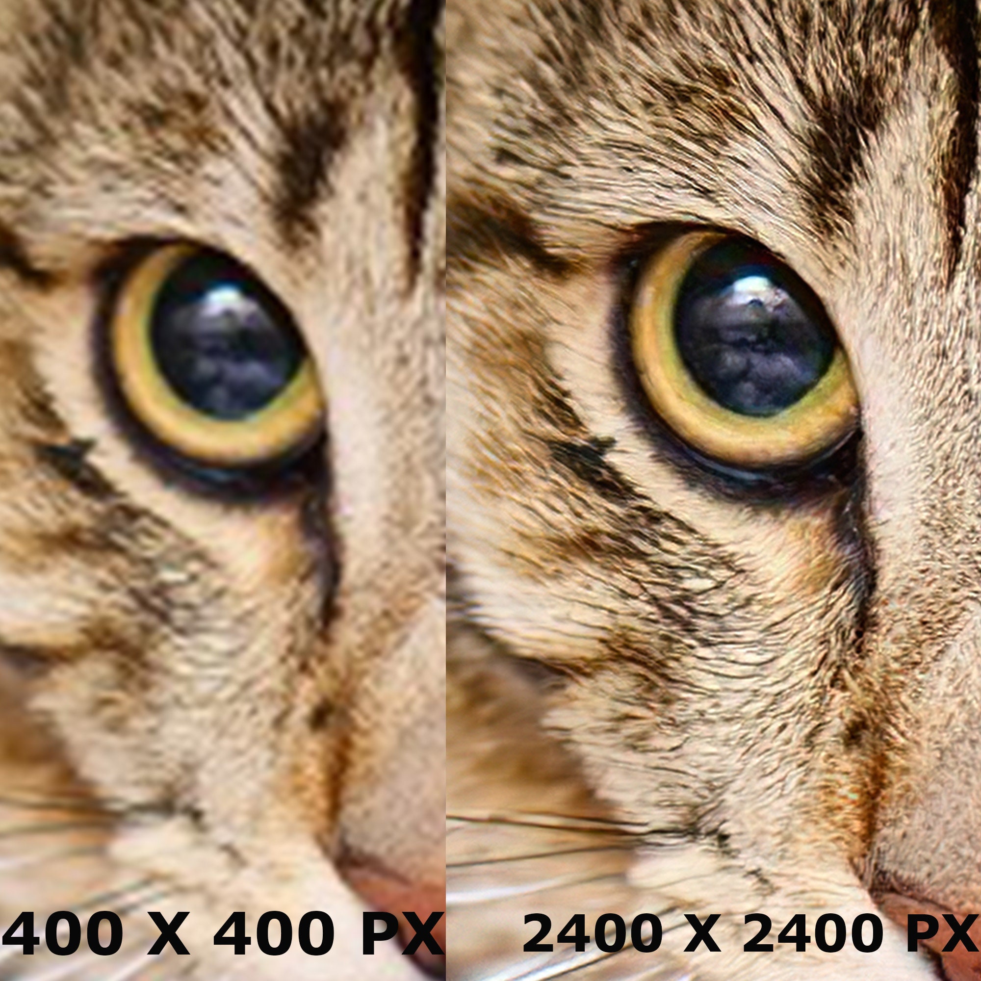 Digital Photo Enhancement: Improve Image Quality & Resolution - Etsy