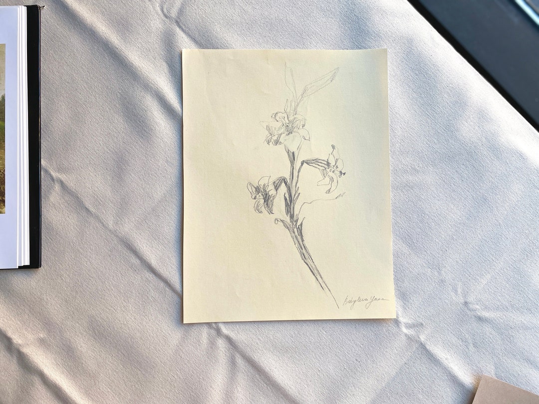 Vintage Florals Art on Paper. Hand-made Illustration in Graphite ...