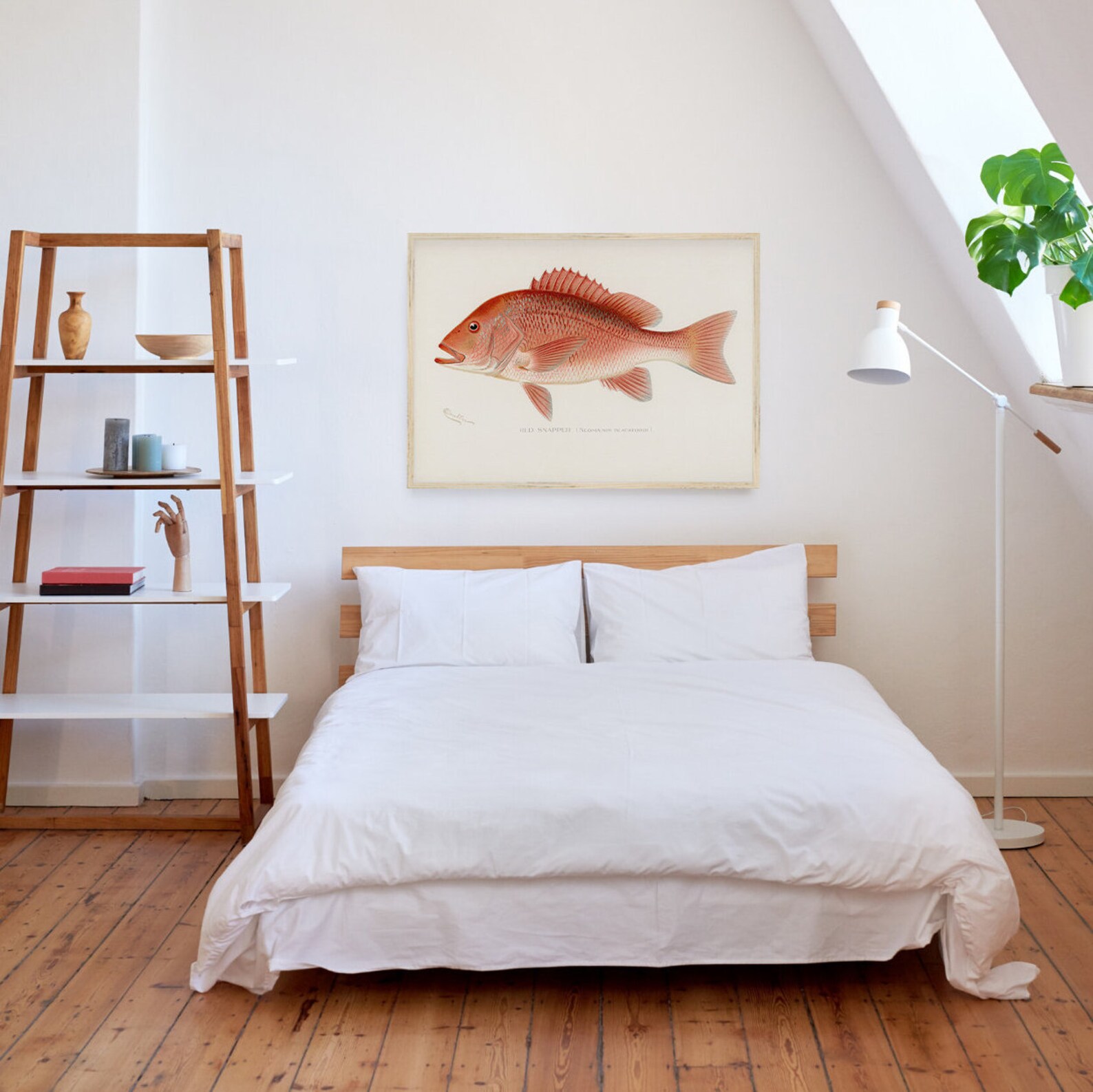 Red Snapper Art Red Fish Print Denton Fish Art Antique Vintage - Etsy