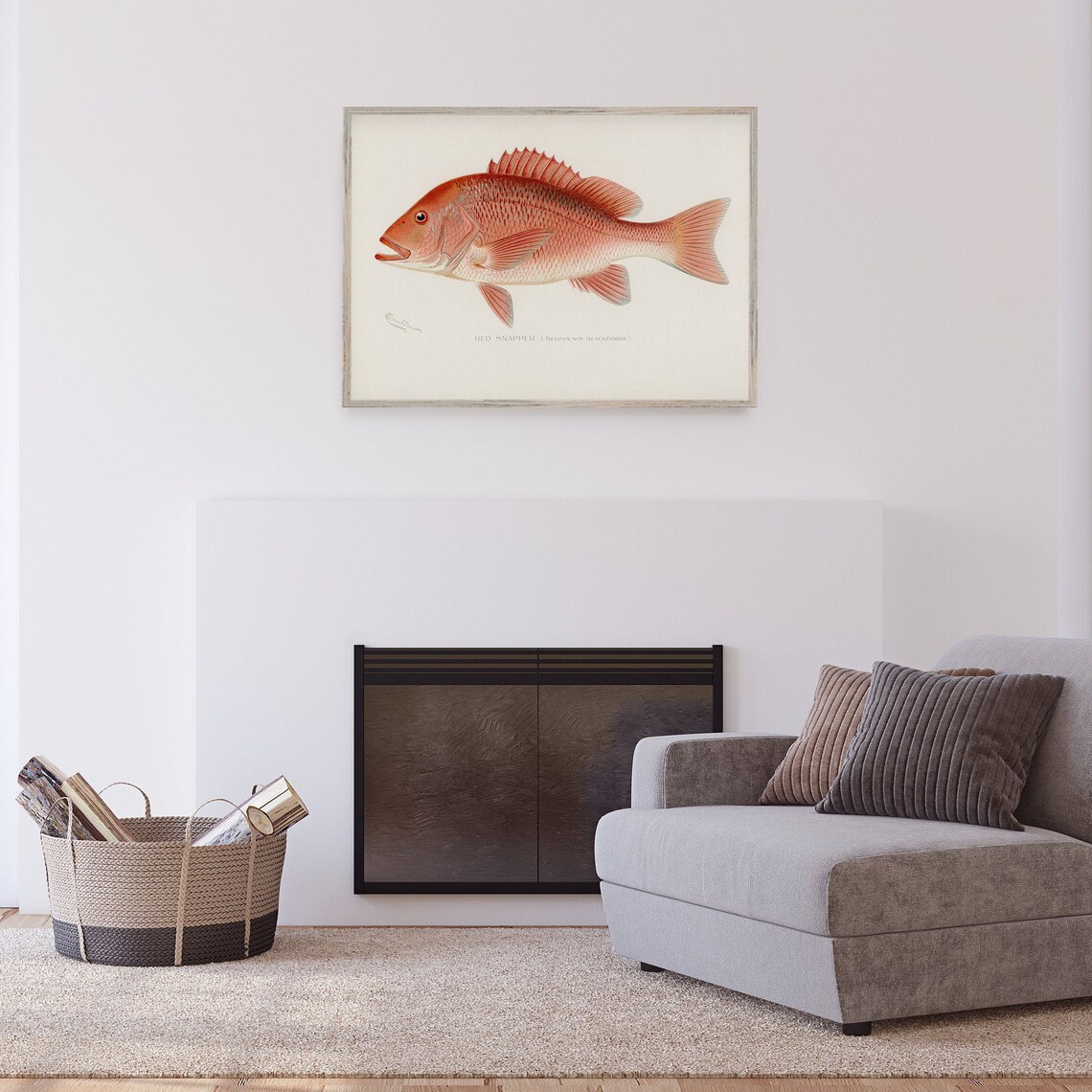Red Snapper Art Red Fish Print Denton Fish Art Antique Vintage - Etsy