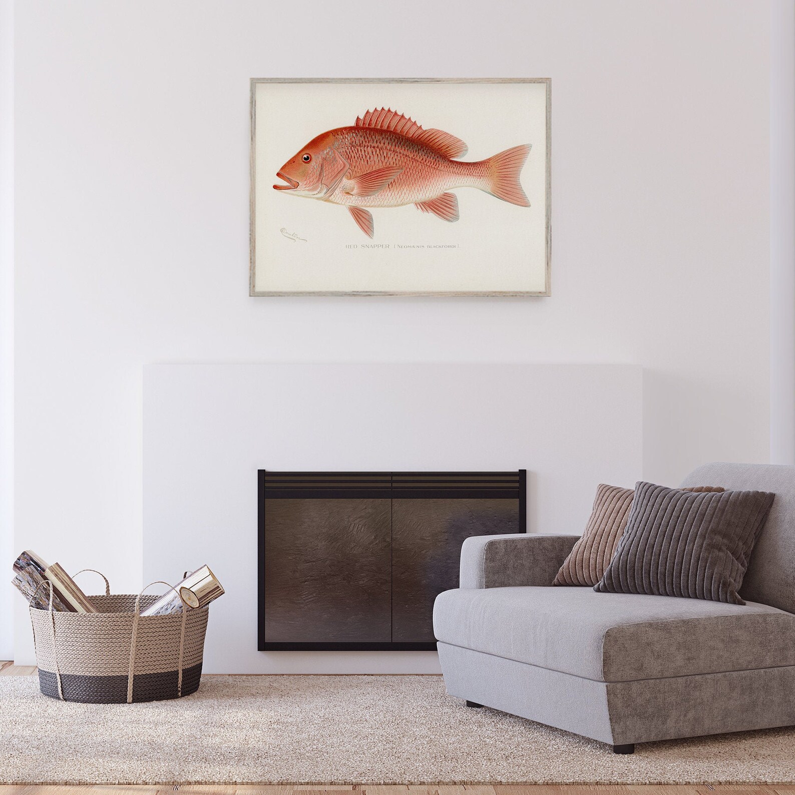 Red Snapper Art Red Fish Print Denton Fish Art Antique Vintage - Etsy