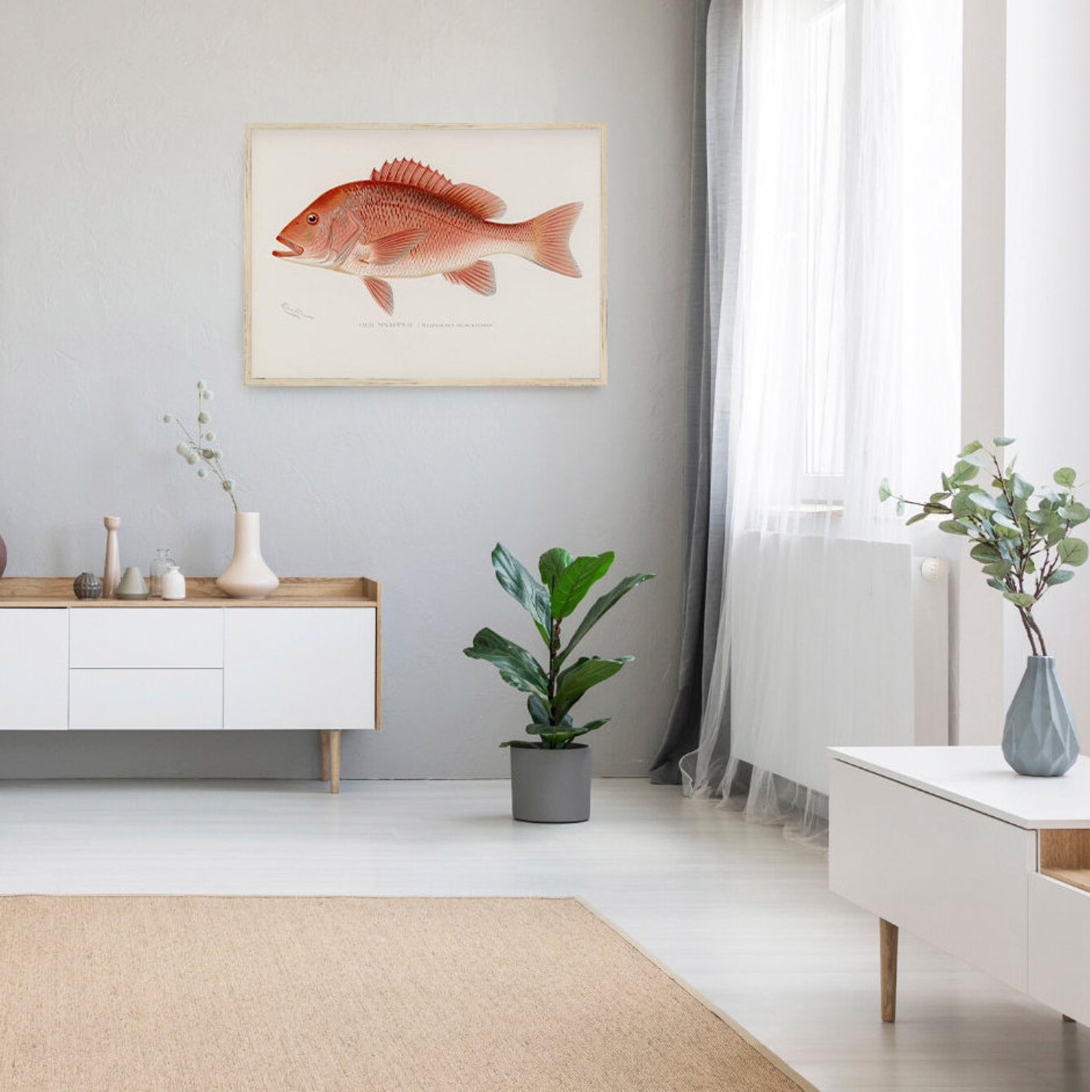 Red Snapper Art Red Fish Print Denton Fish Art Antique Vintage - Etsy