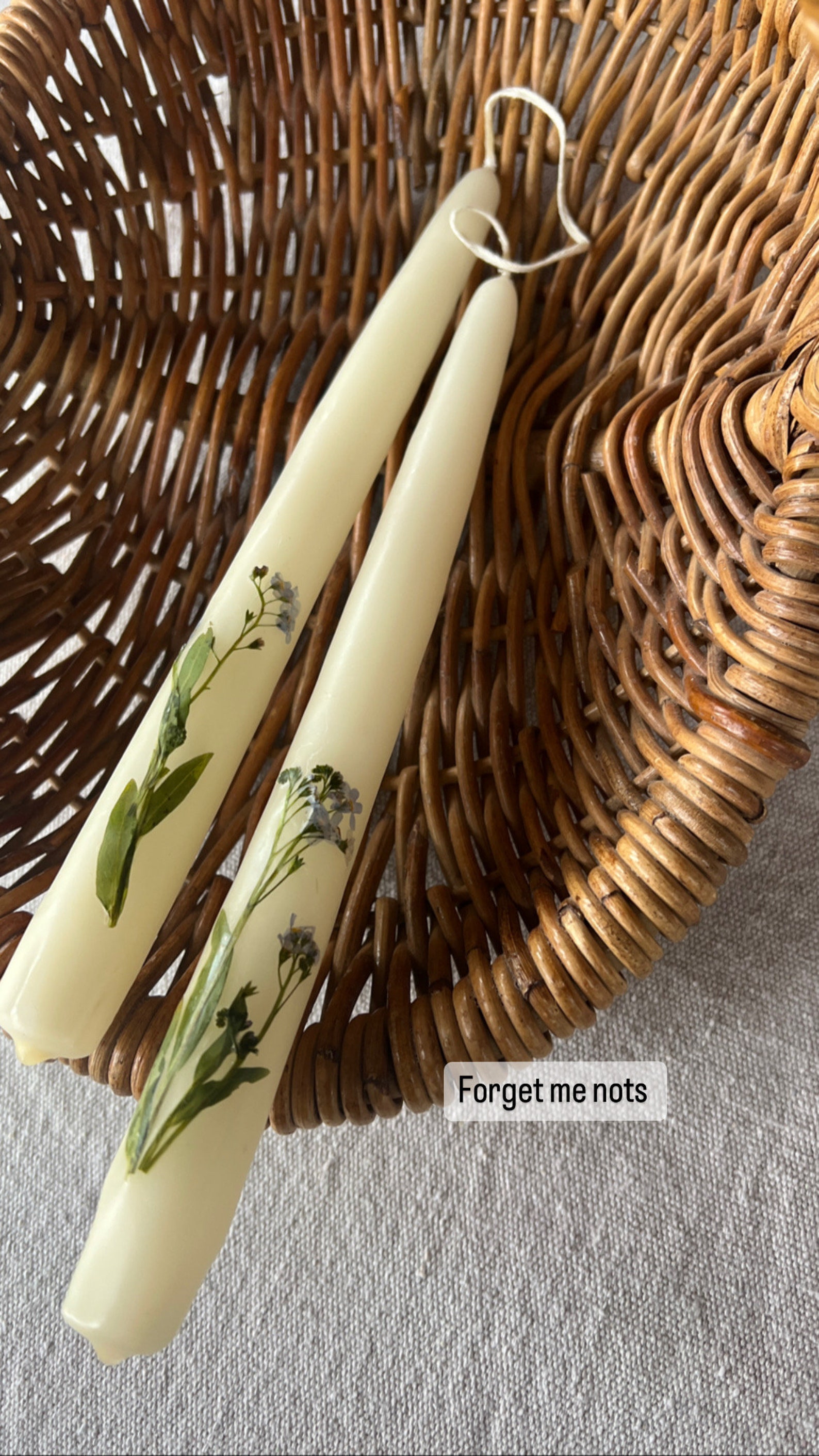 Botanical Taper Candles, Pressed Flower Boho Candles, Set of Two ...