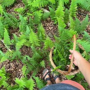 Key Ring With Real Ferns | Back to School Backpack Charm | New Driver ...