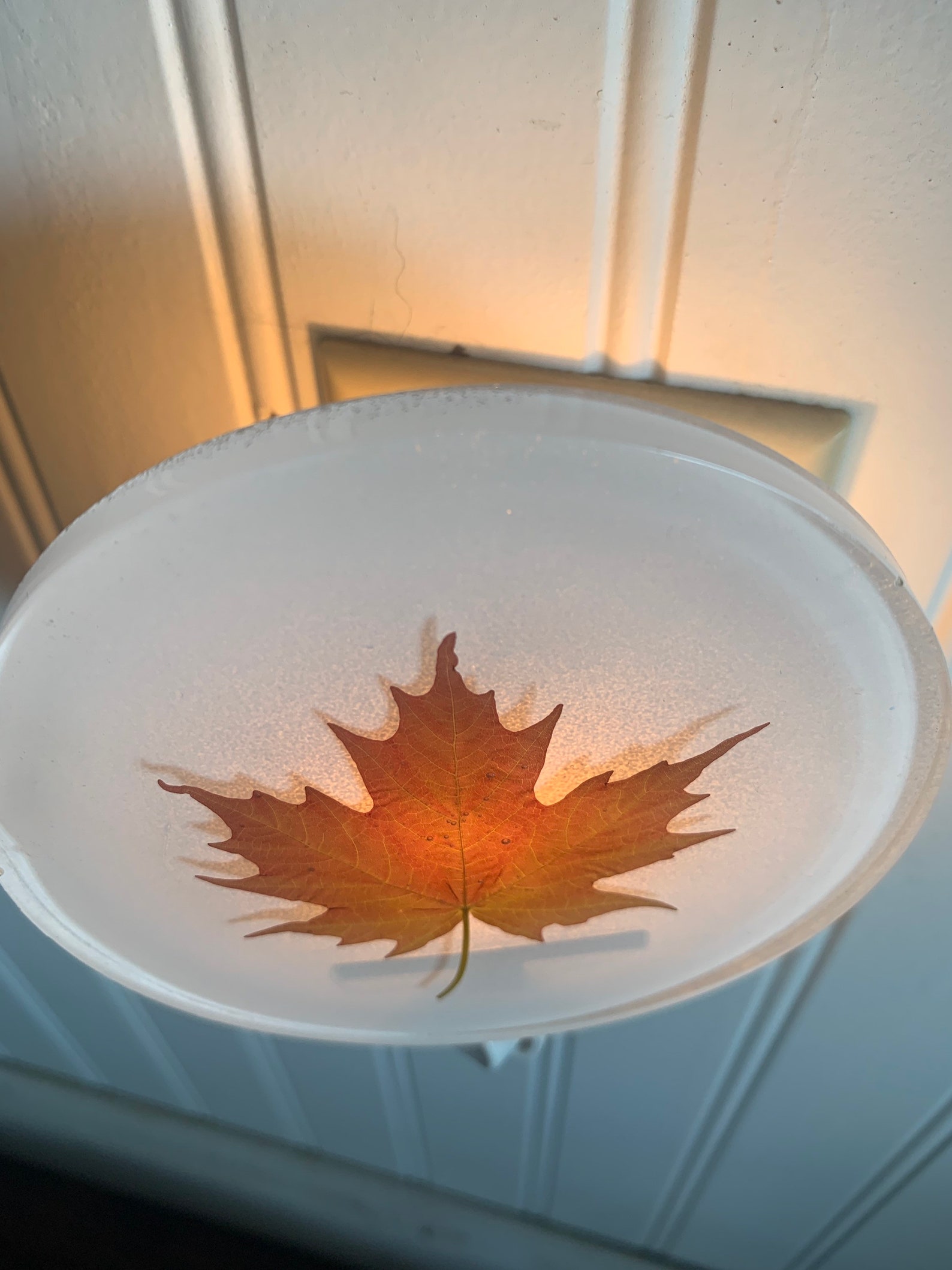 Fall Leaf Nightlight, Cozy Autumn Home, Woodland Nightlight, Fall ...