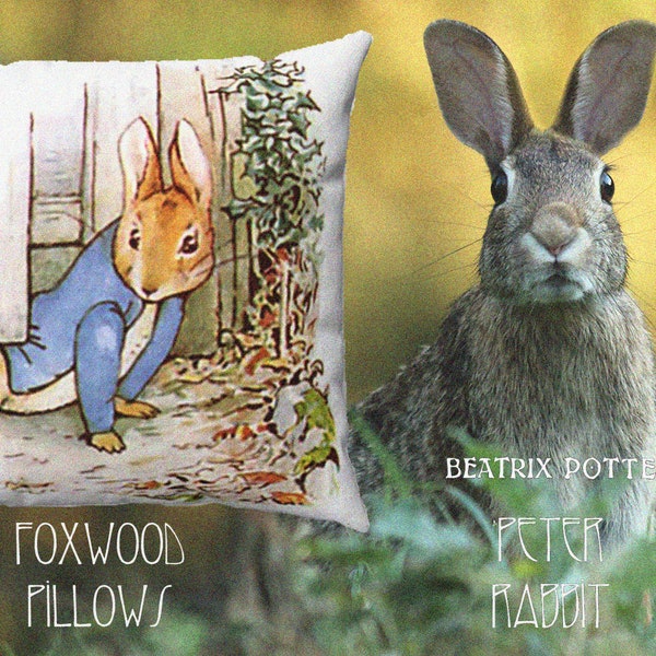 Peter Rabbit Room Decorations - Etsy
