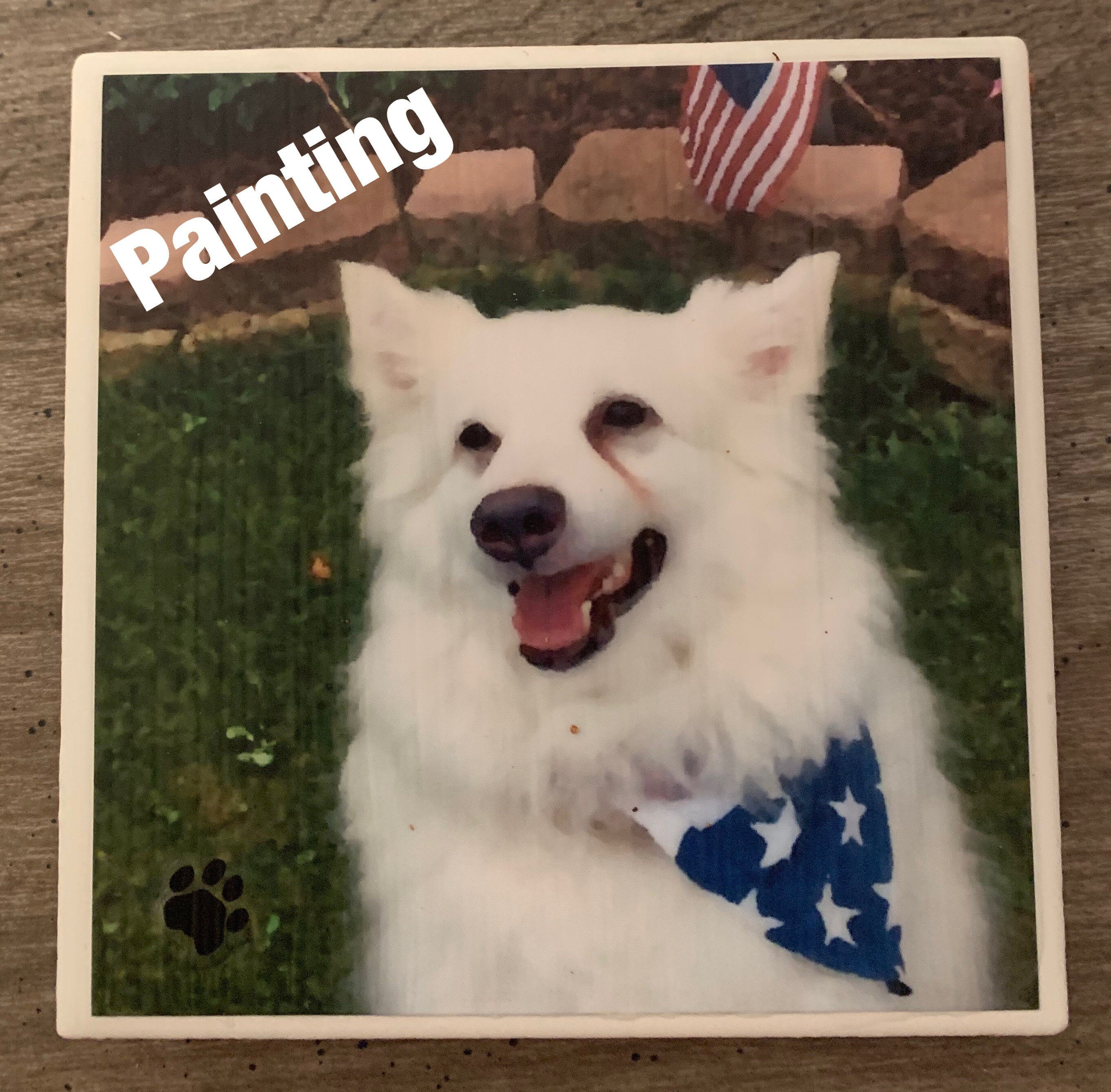 PERSONALIZED DOG Coasters-photo Coasters, Tile Coasters, Personalized ...