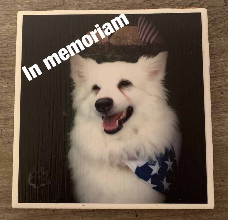 PERSONALIZED DOG Coasters-photo Coasters, Tile Coasters, Personalized ...