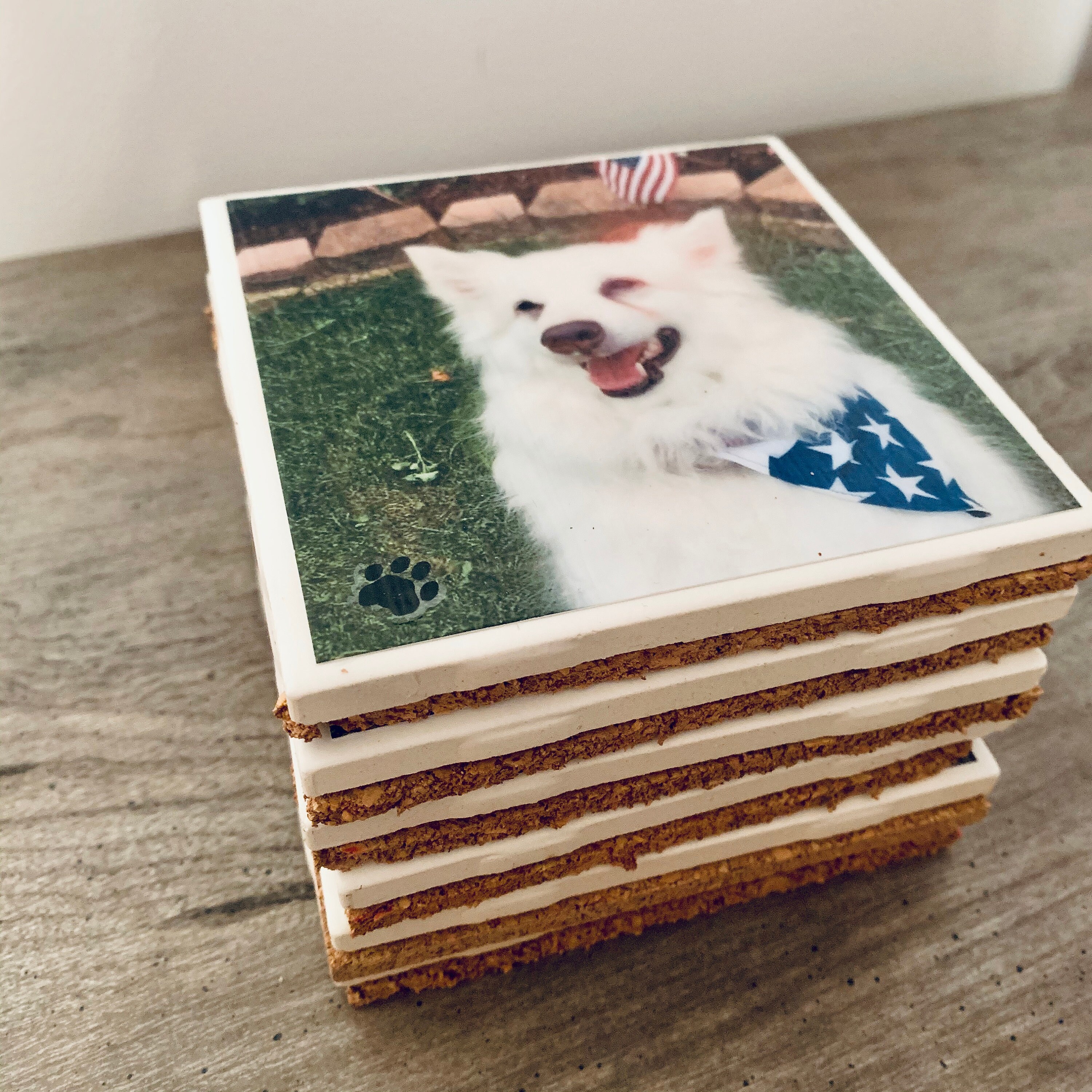 PERSONALIZED DOG Coasters-photo Coasters, Tile Coasters, Personalized ...