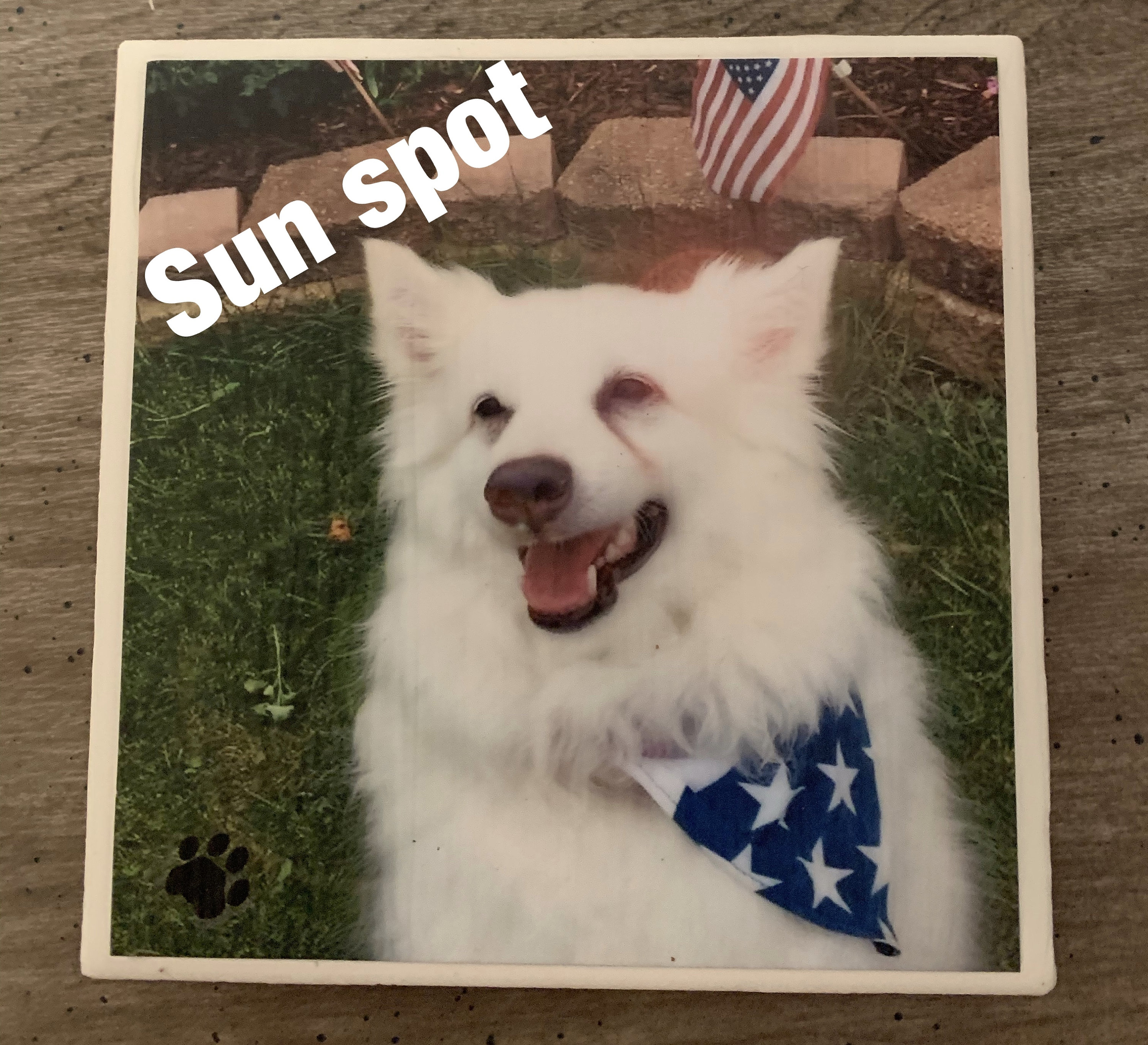 PERSONALIZED DOG Coasters-photo Coasters, Tile Coasters, Personalized ...