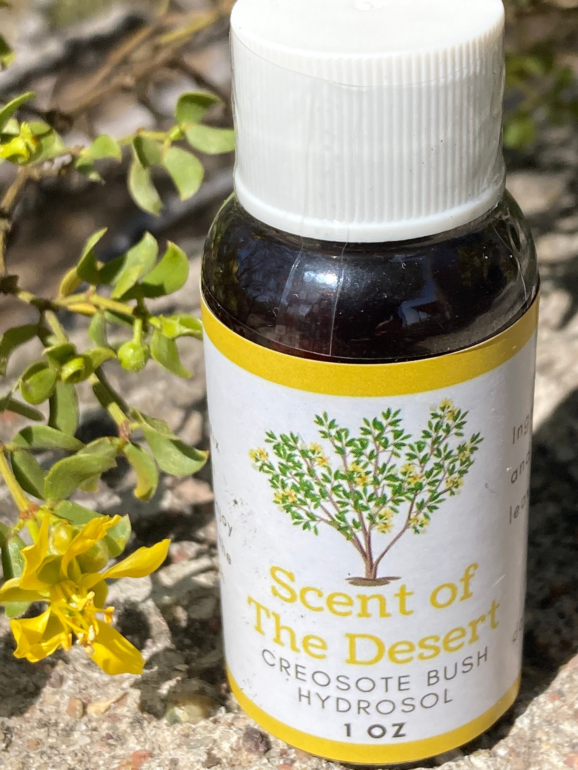 Creosote Bush Hydrosol - Etsy
