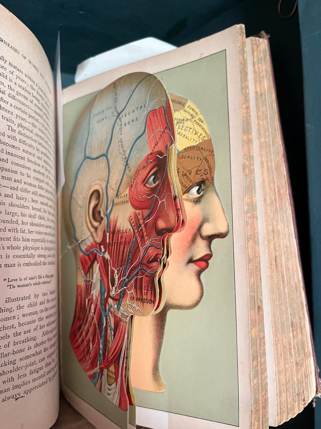 1900, 20th Century Family Physician, Fully Illustrated, Doctor Office ...