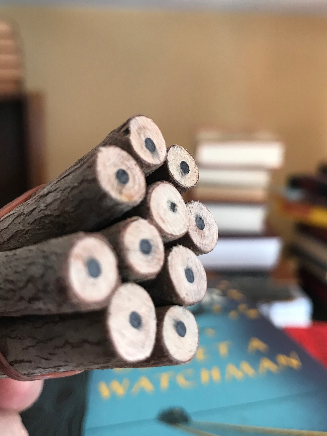 Wood Pencils Graphite Wooden Tree Rustic Twig Pencils 10 | Etsy