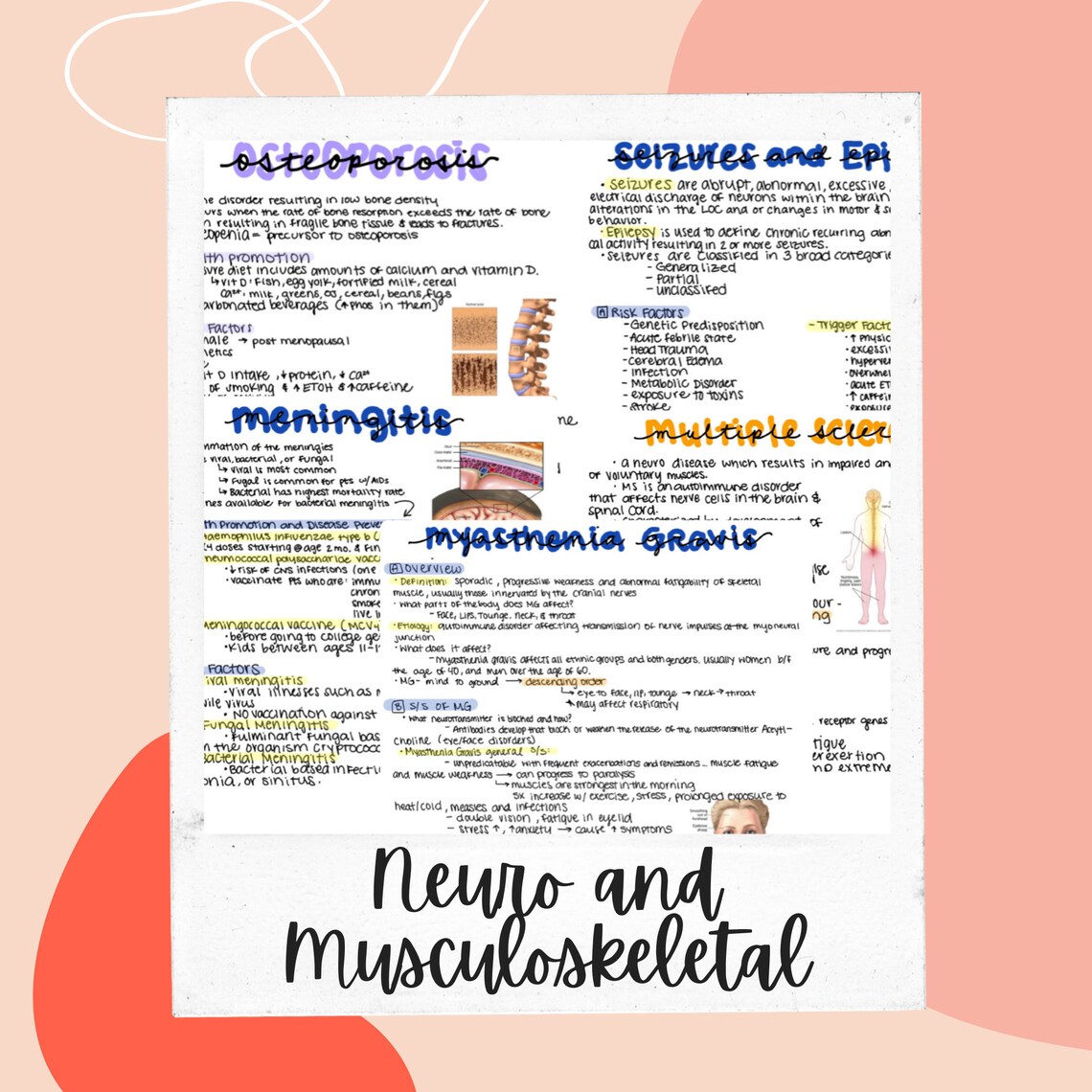 Neuro and Musculoskeletal | Nursing Notes - Etsy