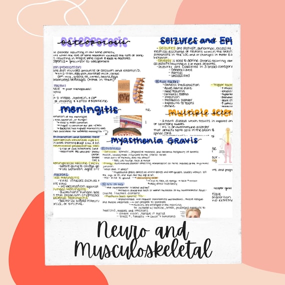 Neuro and Musculoskeletal Nursing Notes | Etsy