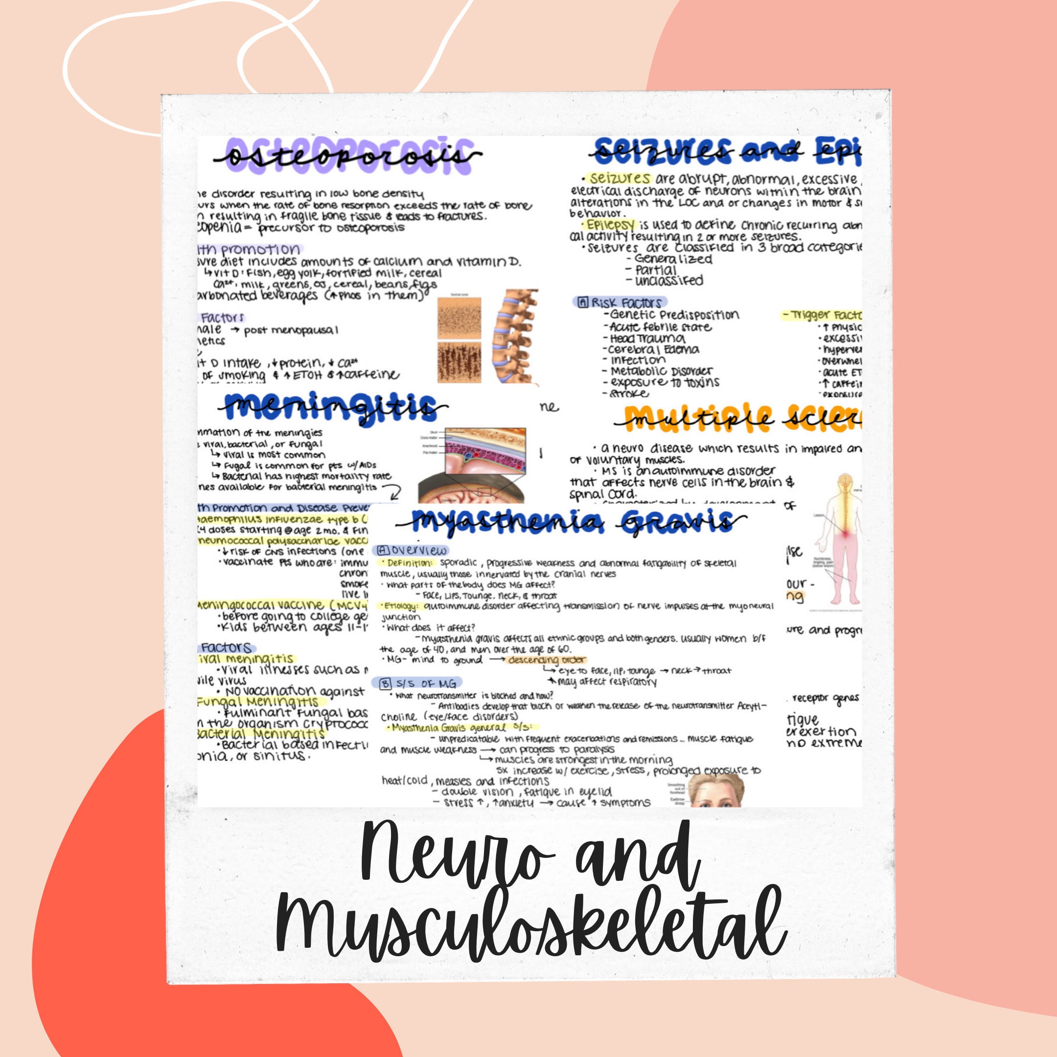 Neuro and Musculoskeletal | Nursing Notes - Etsy