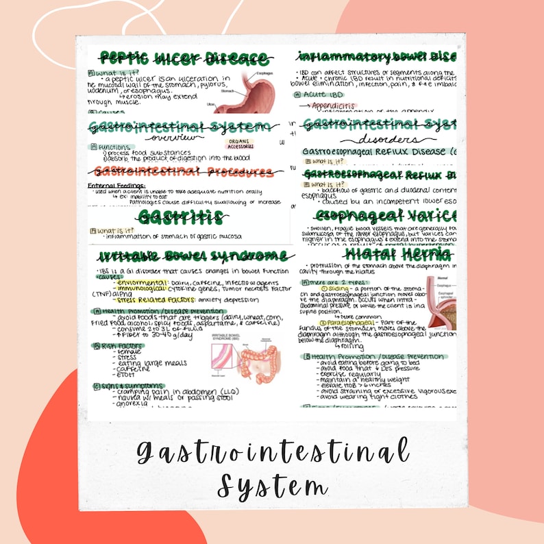Gastrointestinal | Nursing Notes - Etsy