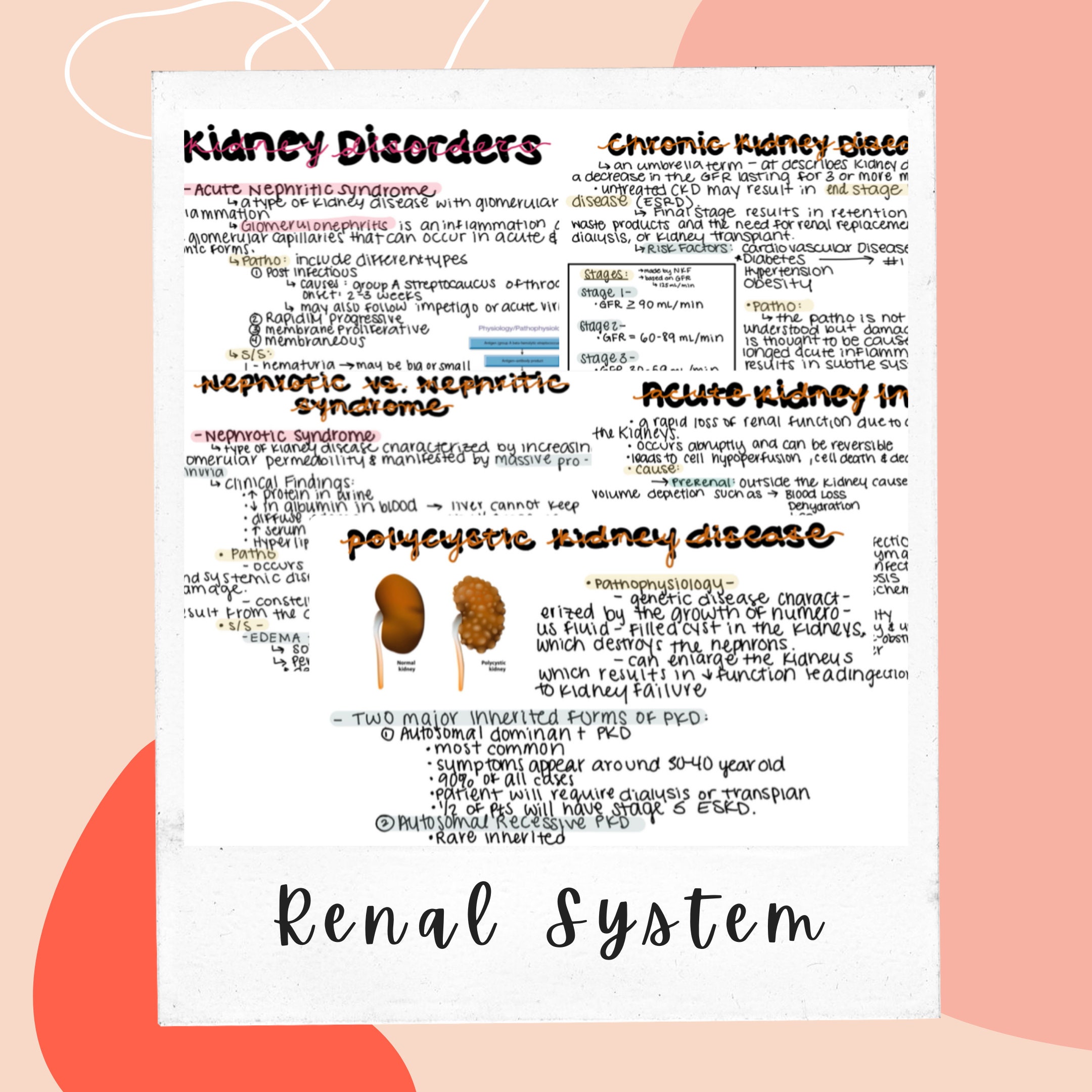 Renal | Nursing Notes - Etsy
