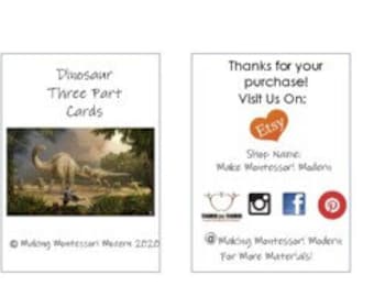 Montessori Dinosaur 3 Part Cards - Etsy