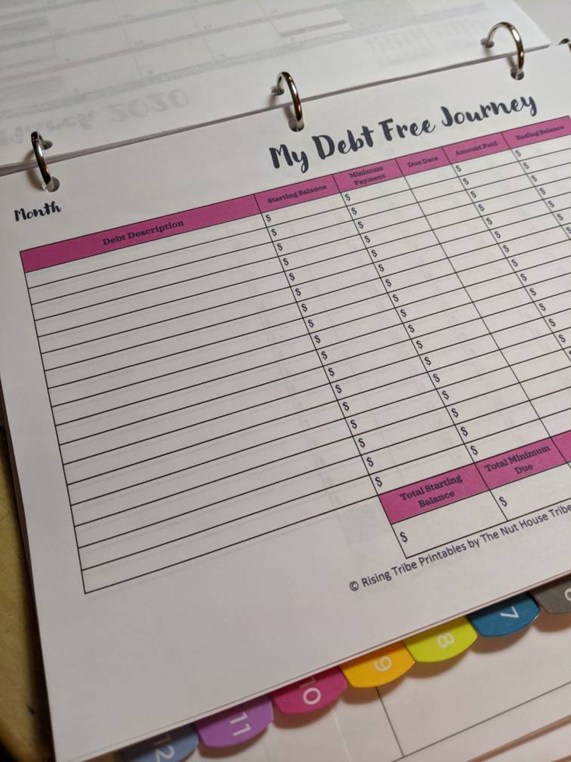 Debt Tracker Debt Free Journey Budget Binder Debt Free Budget Planner ...