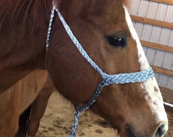 Mule tape halter | Etsy