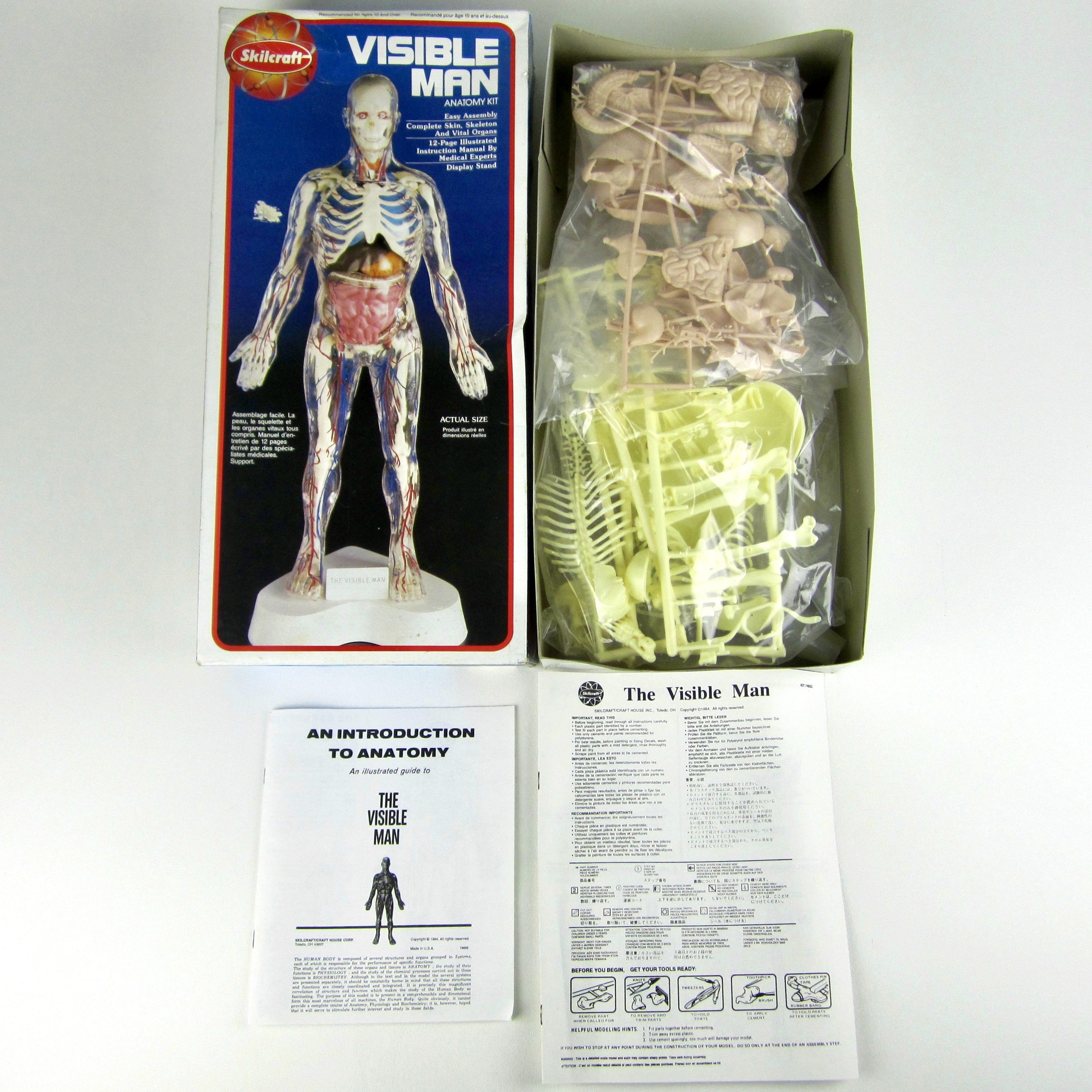 Visible Man for sale | Only 4 left at -70%