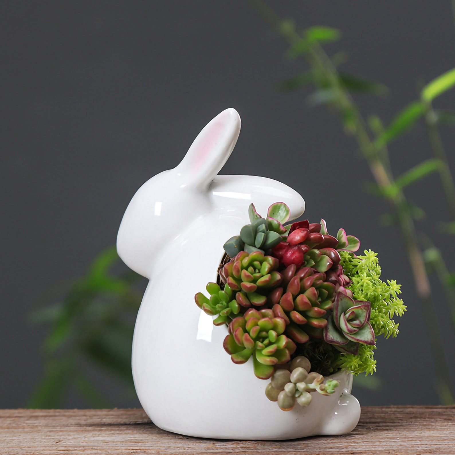 Cute Rabbit Plant Pot Rabbit Planter Rhinoceros Gifts | Etsy