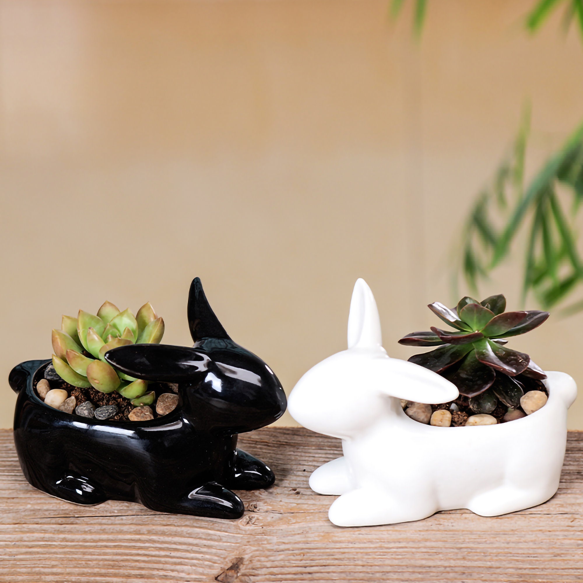 Cute Rabbit Plant Pot Rabbit Planter Rhinoceros Gifts | Etsy