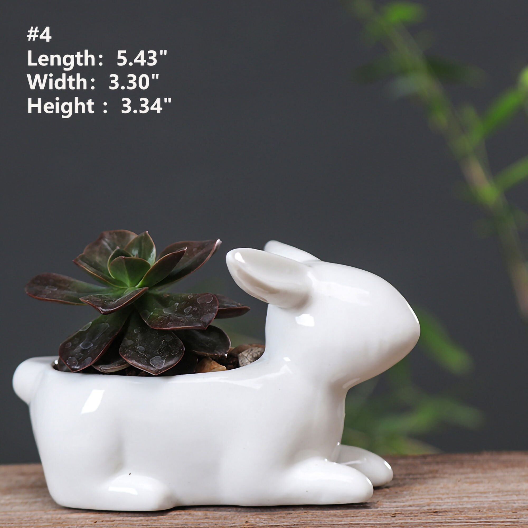 Cute Rabbit Plant Pot Rabbit Planter Rhinoceros Gifts | Etsy